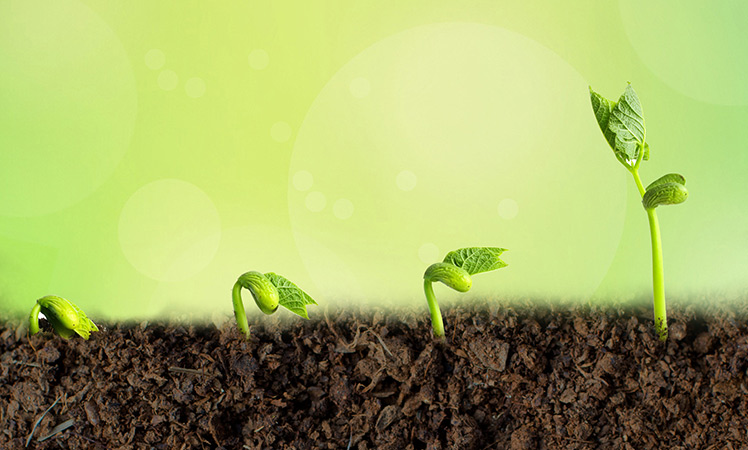 Zhejiang Wanfeng Auto Wheel Co.,Ltd.